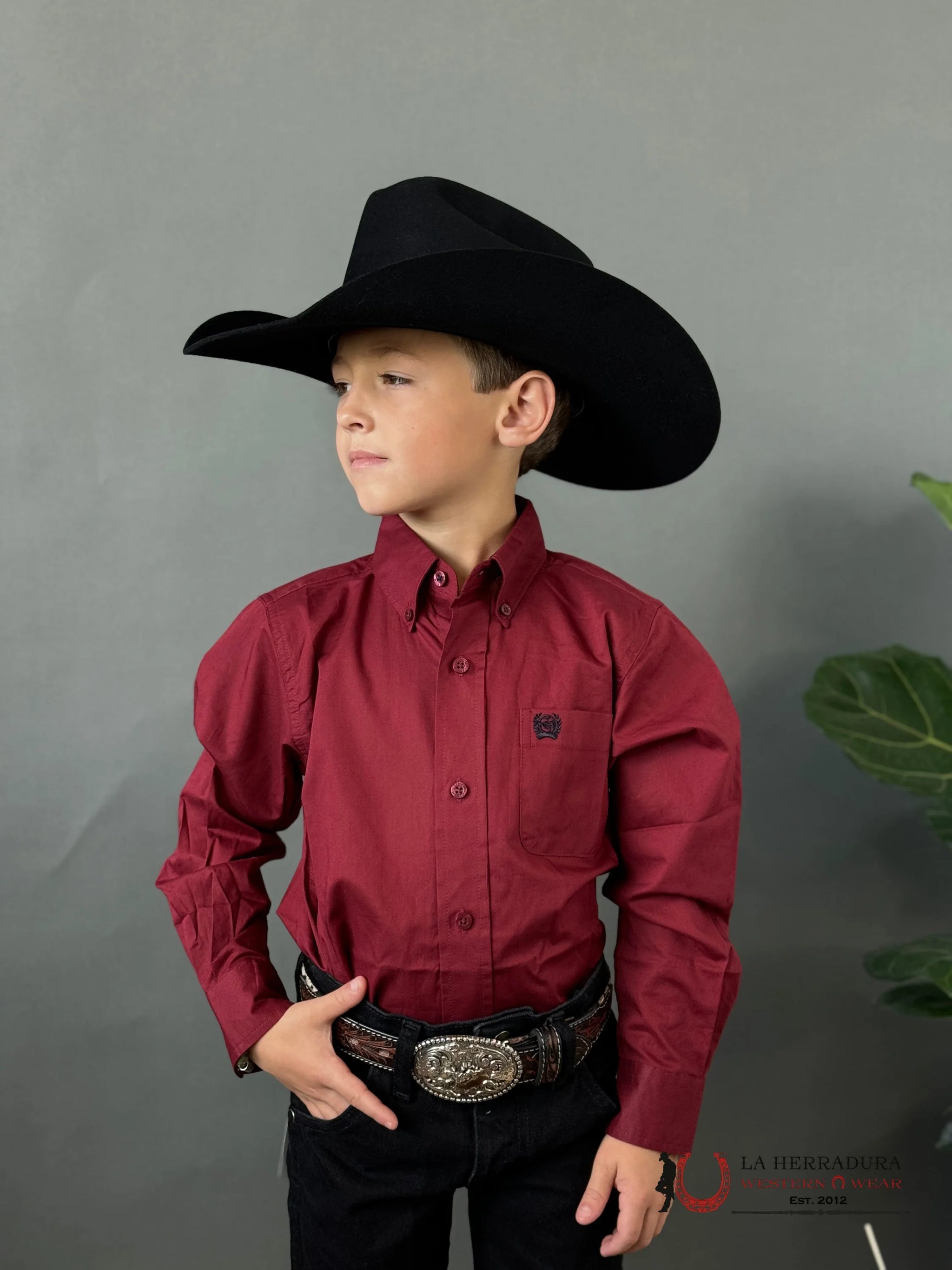 CINCH CLASSIC SHIRT RED/WINE