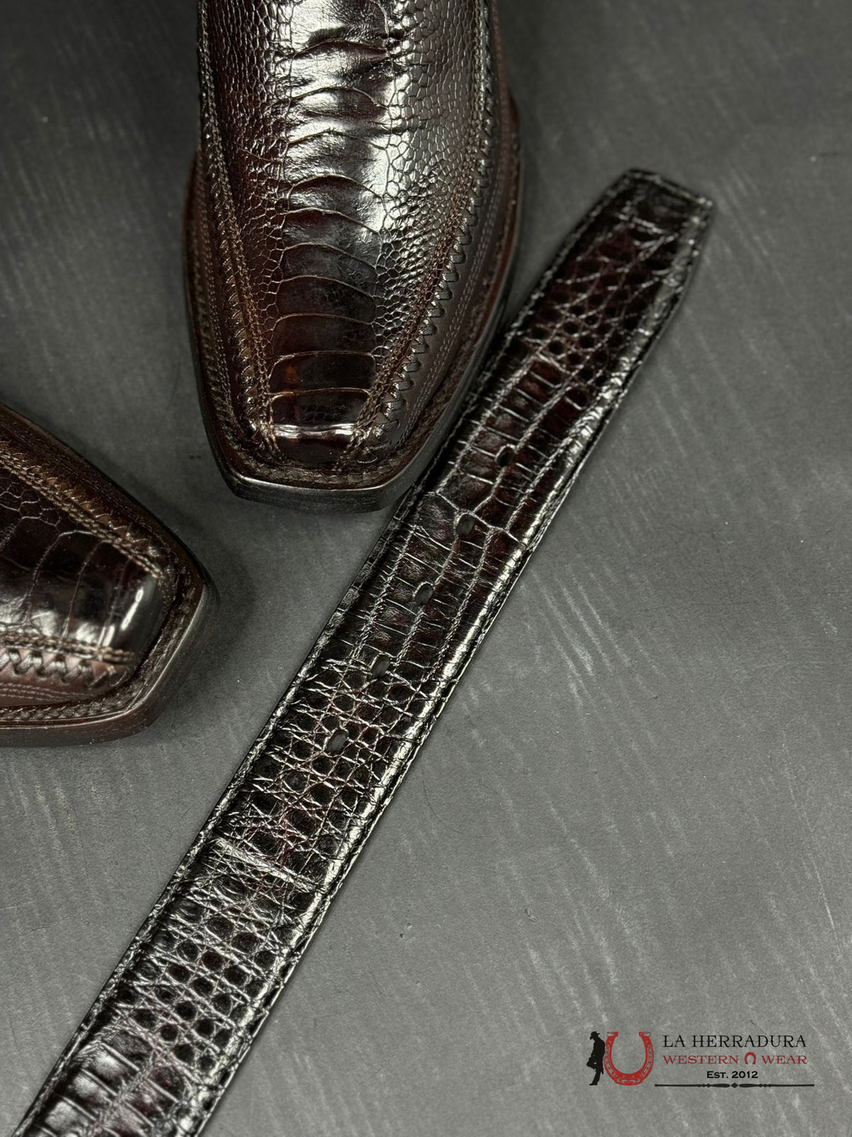 CUADRA BELT FUSCUS CAIMAN LOMO BELLY COMPLETE BELT CAIMAN SKIN ARAUCO